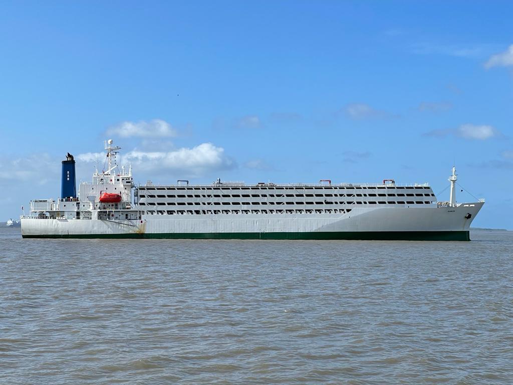 Dimar trabaja por la seguridad integral en el territorio marítimo ...